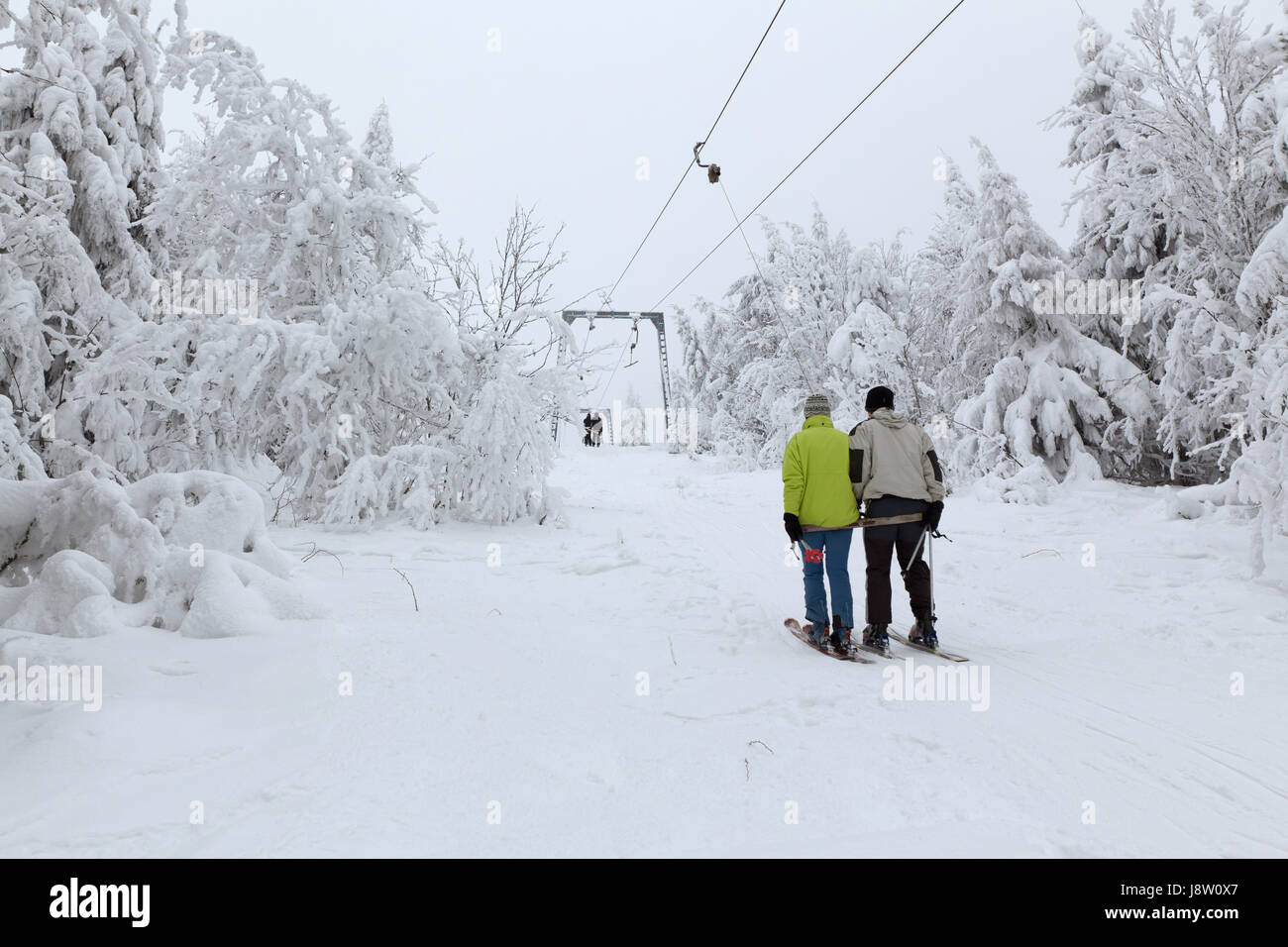tower, elevator, lift, environment, enviroment, tree, park, winter ...