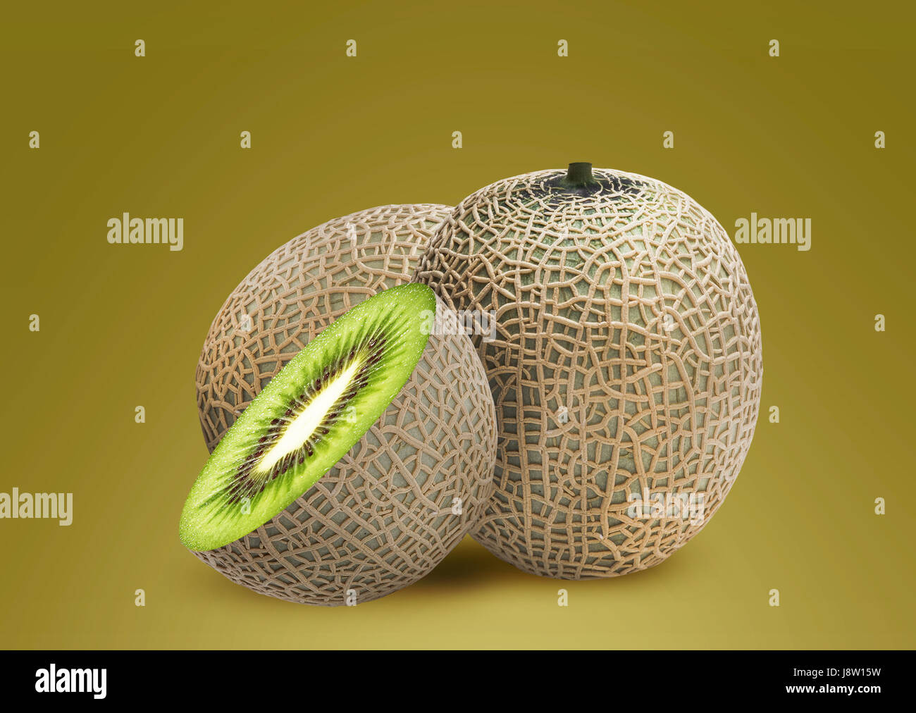 food, aliment, object, single, model, design, project, concept, plan ...