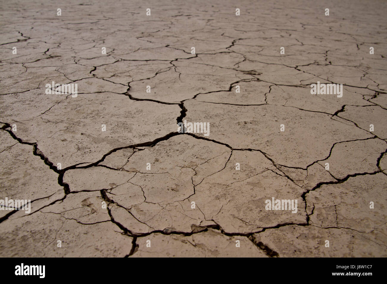 desert, wasteland, ground, soil, earth, humus, hot, surface, dry, dried ...