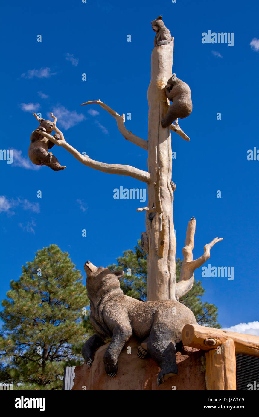 tourism, usa, sightseeing, america, scenery, countryside, nature, bears ...