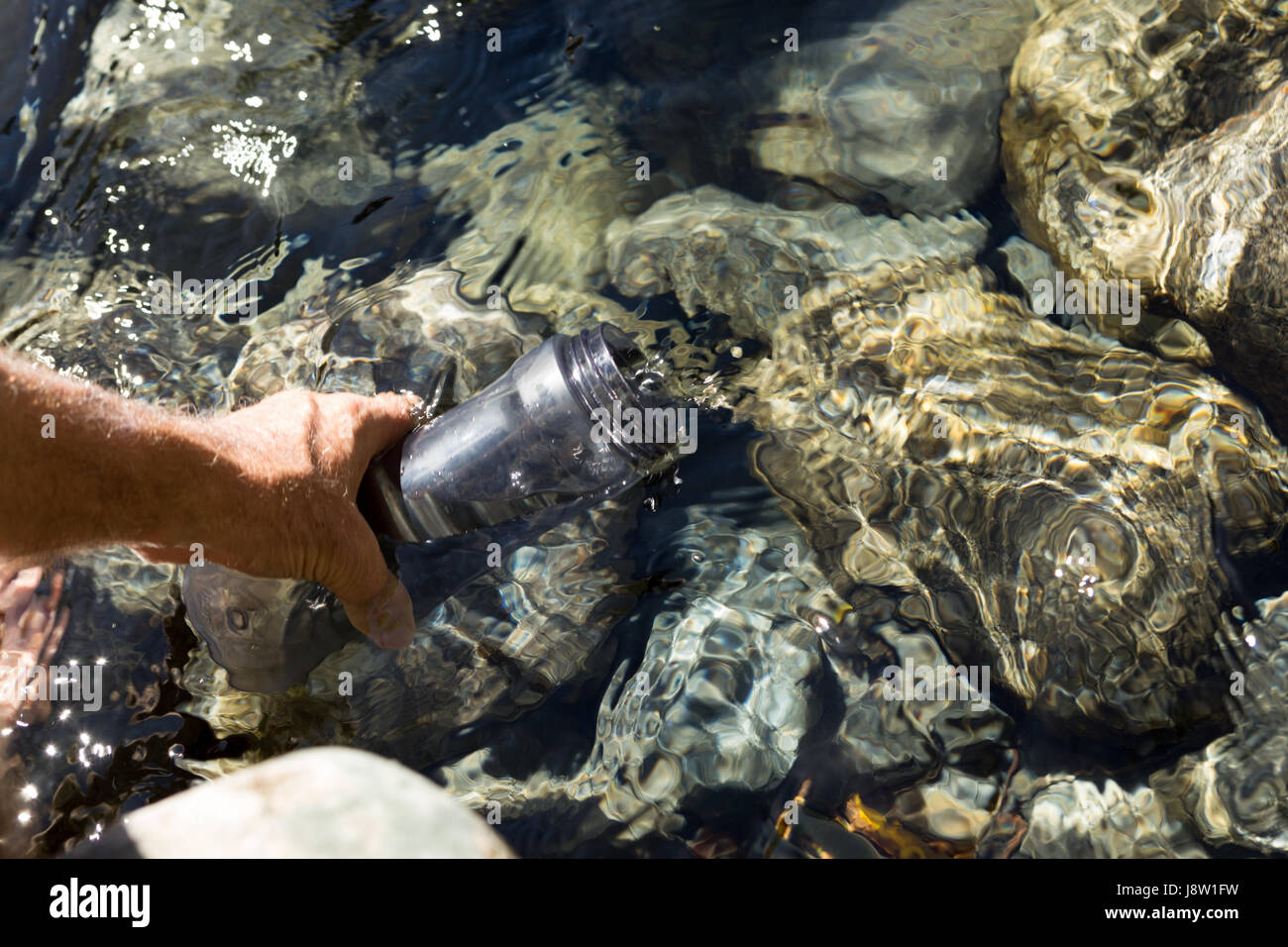 filling a water bottle in a clear stream in Fiordland New Zealand Stock ...