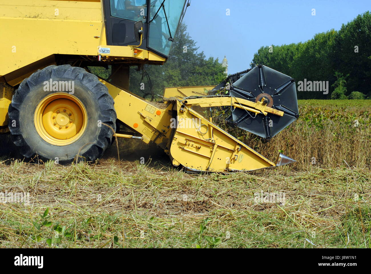 agriculture, farming, field, harvest, work, factory, cut, reap, grow ...