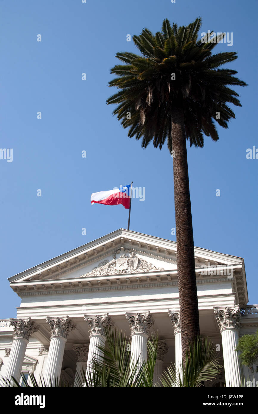 tree,chile,palm tree,justice,court,building,santiago de chile,pinochet ...