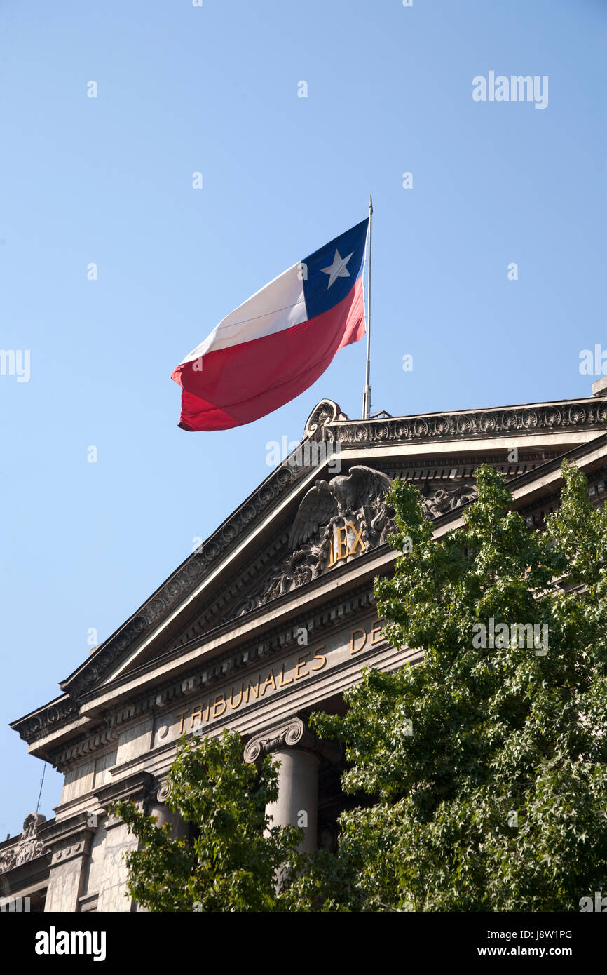 tree,chile,palm tree,justice,court,building,santiago de chile,pinochet ...