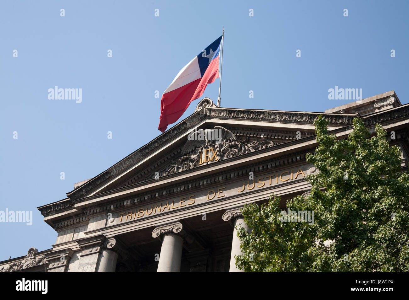 tree,chile,palm tree,justice,court,building,santiago de chile,pinochet ...