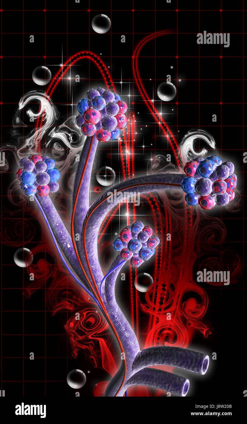 education, health, medicinally, medical, graphics, colour, science ...