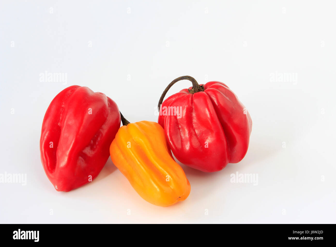 strikingly, sheet ropes, chilli, chili, food, aliment, spice, condiment ...