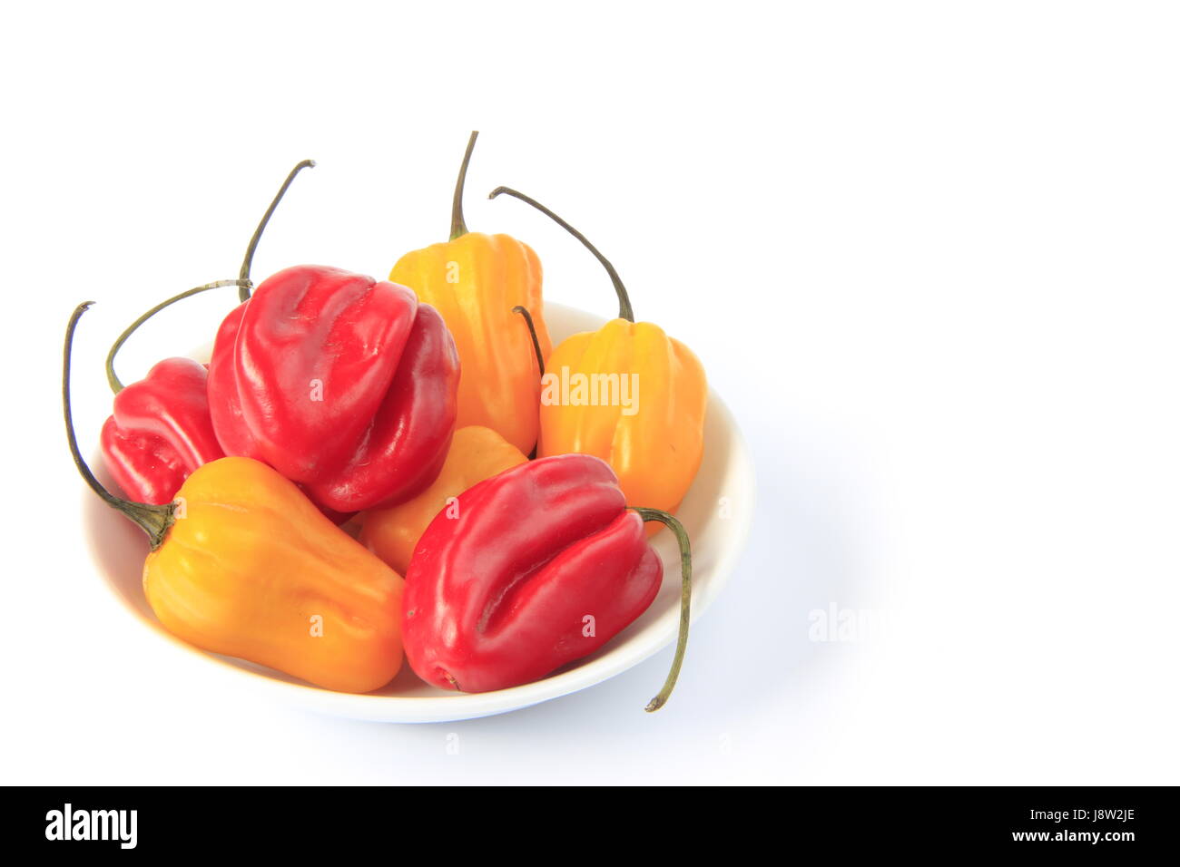 strikingly, sheet ropes, chilli, chili, food, aliment, spice, condiment ...