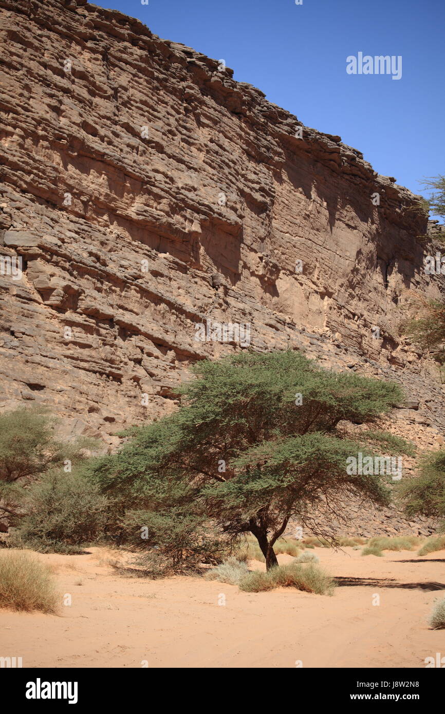 africa, ravine, massif, algeria, mountain, scenery, countryside, nature ...