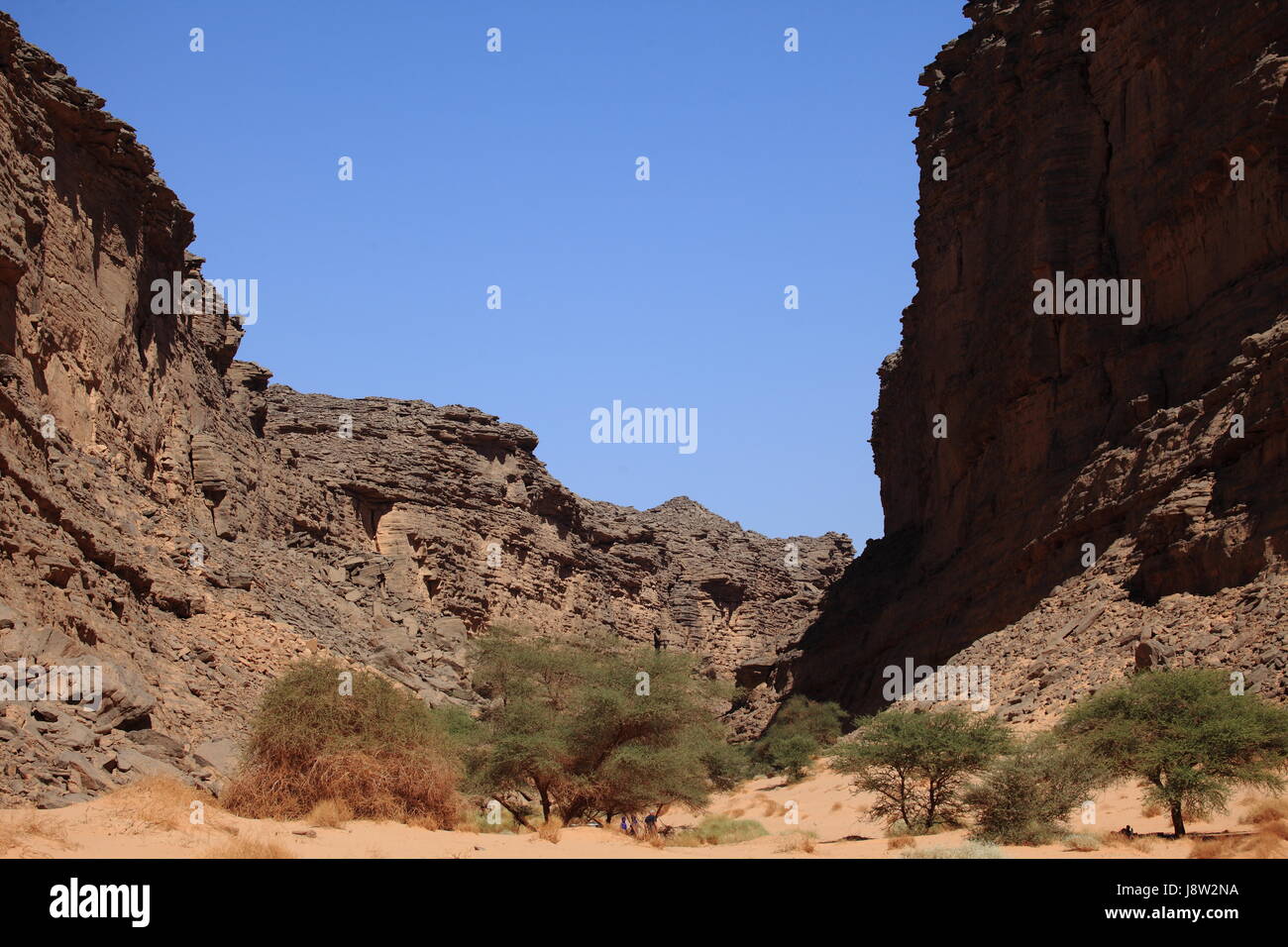 africa, ravine, massif, algeria, mountain, scenery, countryside, nature ...
