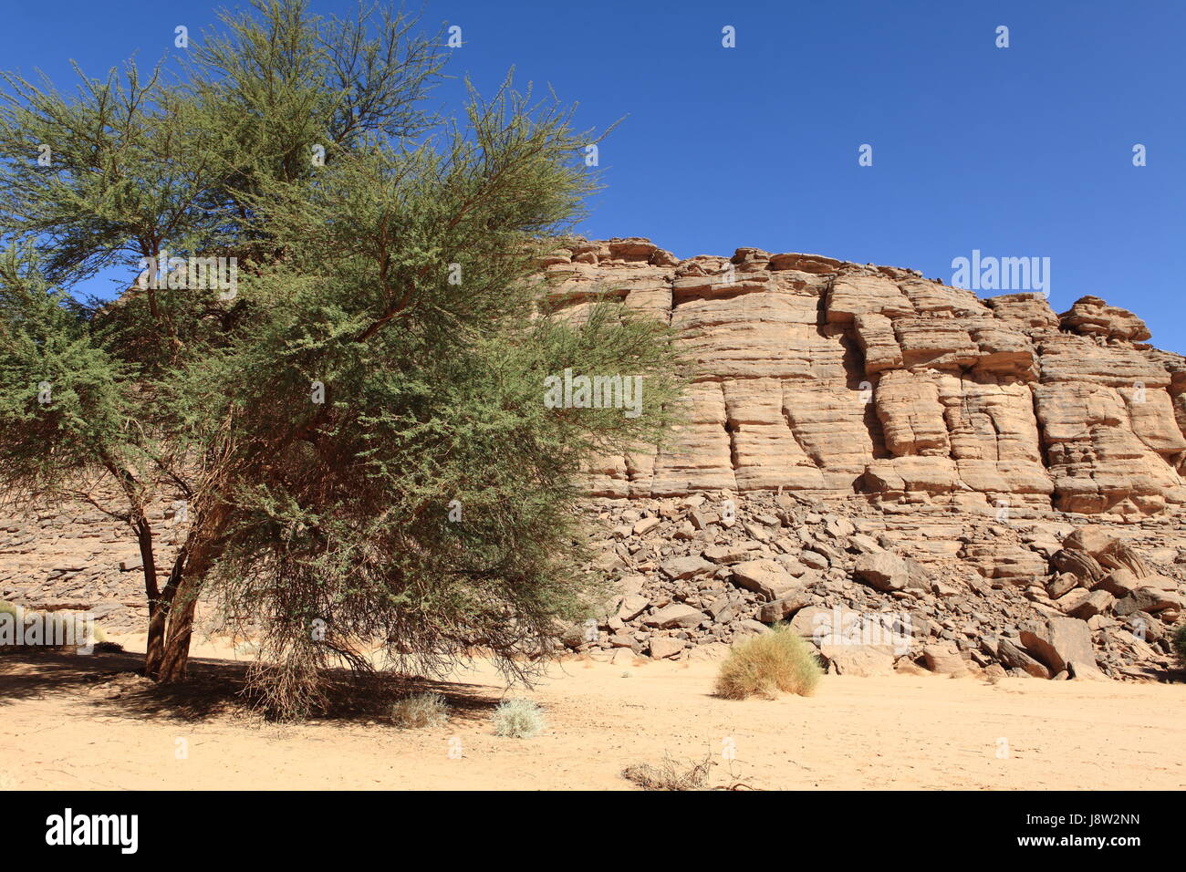 africa, ravine, massif, algeria, mountain, scenery, countryside, nature ...