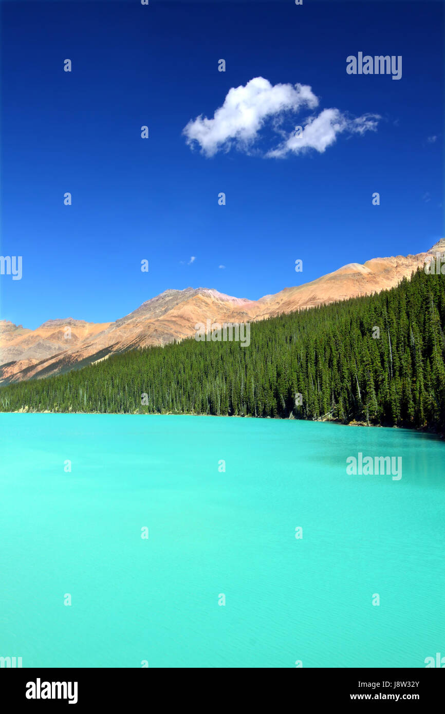 park, canada, national, fresh water, lake, inland water, water, blue ...