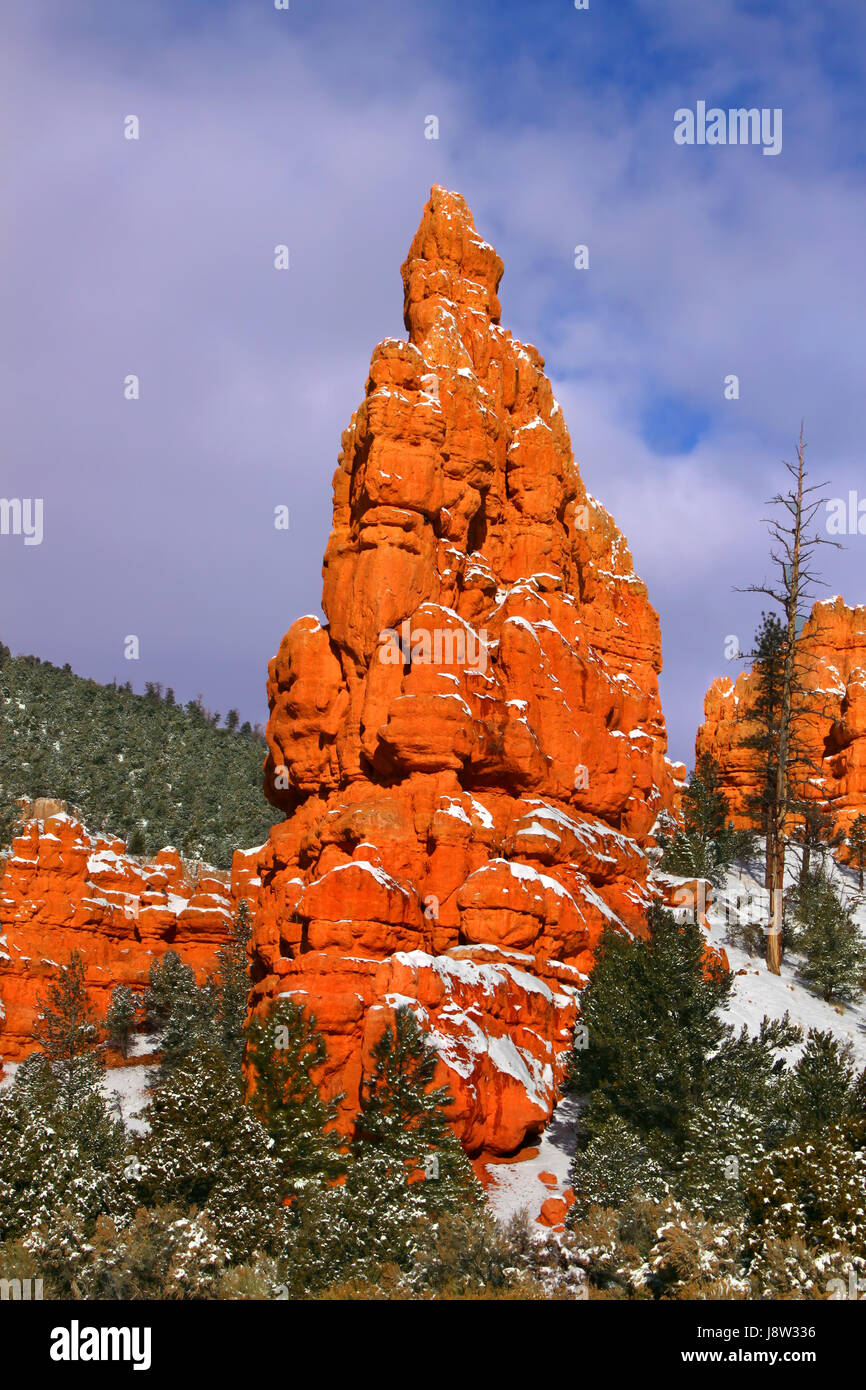 Canyon, national, red, forest, pillar, rock, travel, environment ...