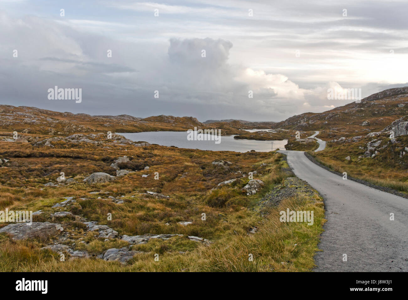 scotland, heath, path, way, salt water, sea, ocean, water, street, road ...