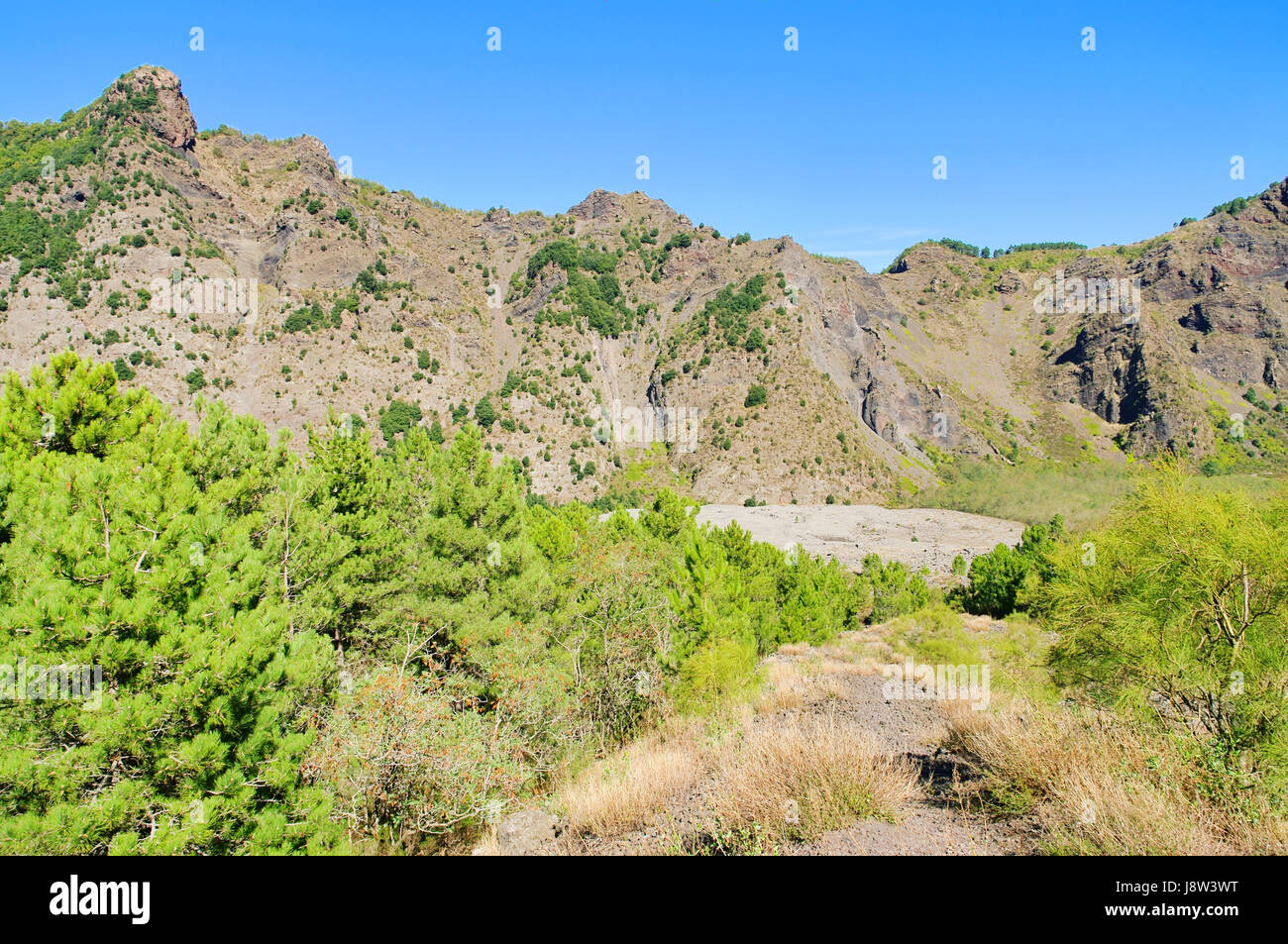crater, lava, mountain, vesuvius, vulcan, volcano, italy, tree, tourism ...