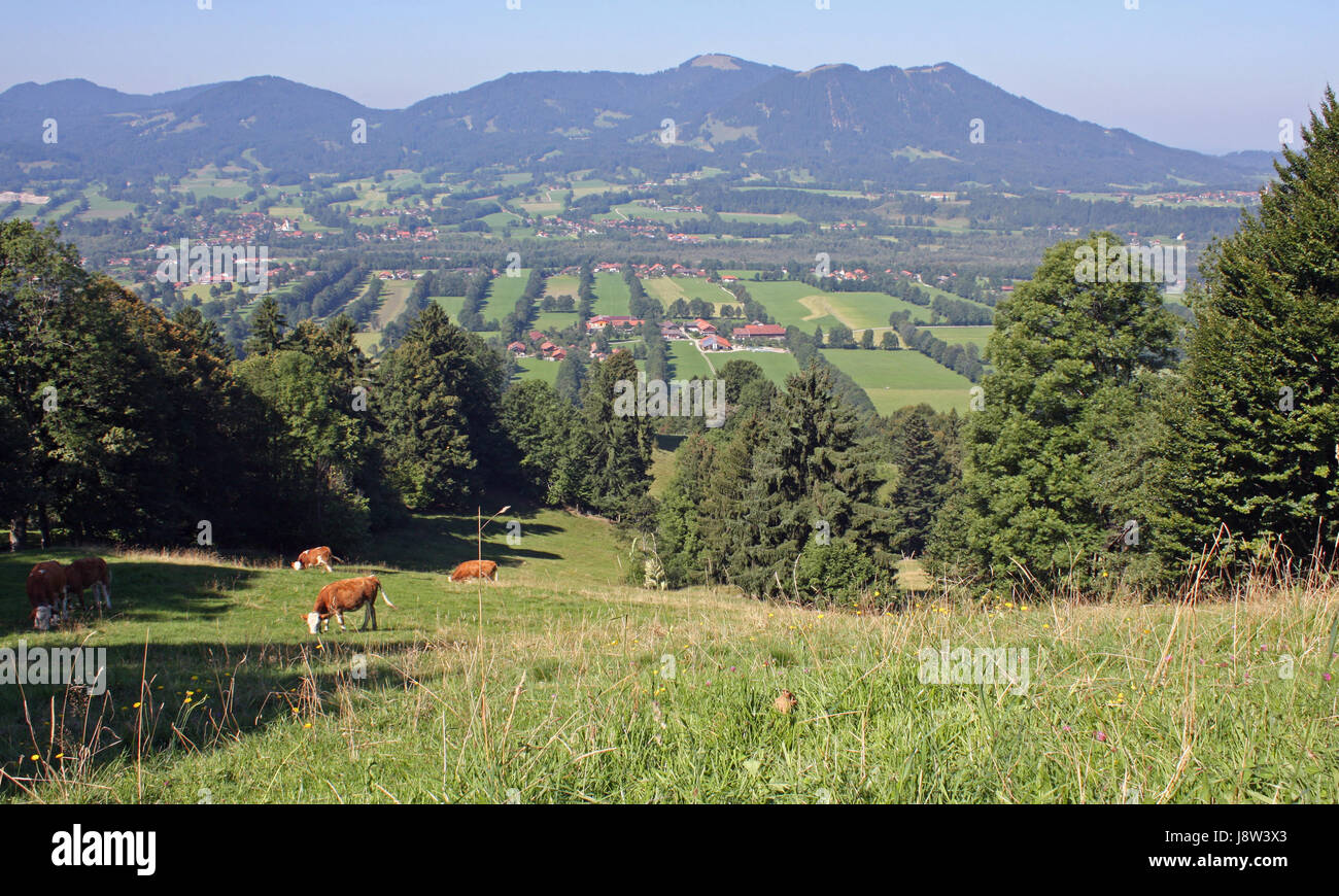 sight, view, outlook, perspective, vista, panorama, lookout, background ...