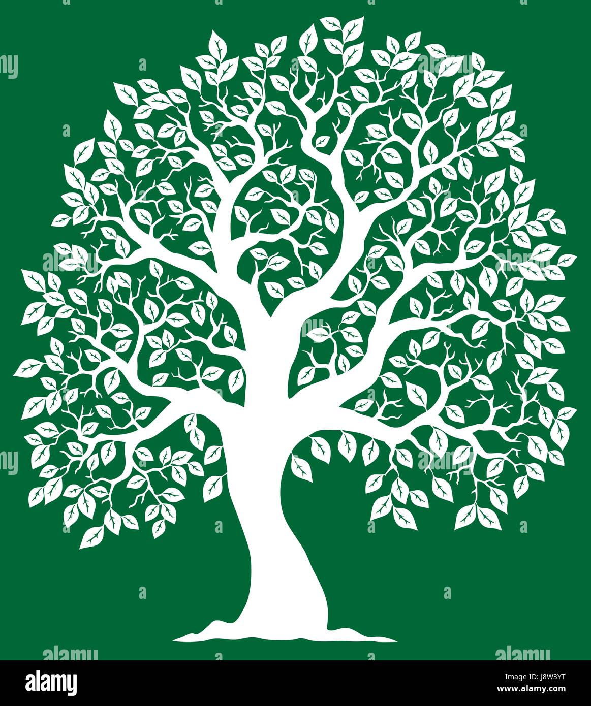 environment, enviroment, tree, ecology, ecological, leafy, nature ...