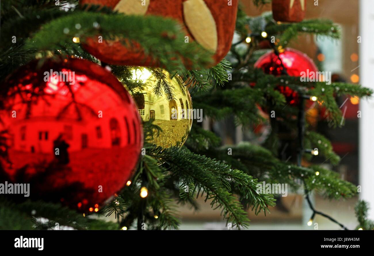 Christmas tree in vienna hi-res stock photography and images - Alamy