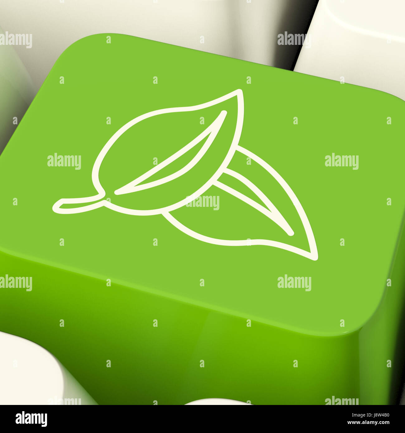 eco, environment, enviroment, friendly, kind, recyclable, wise ...