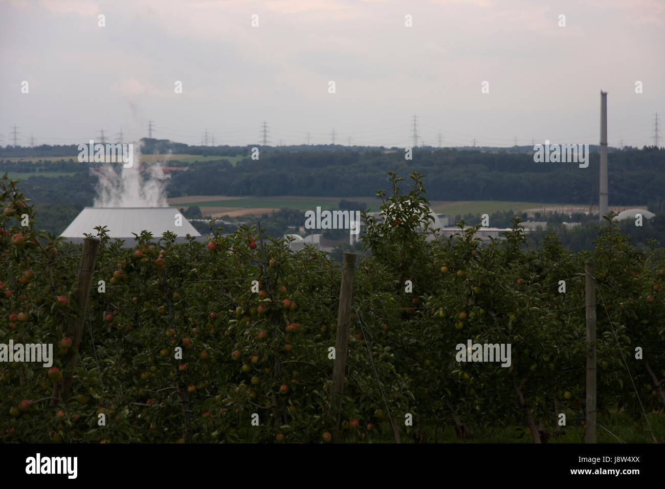 nuclear power station, industry, industrial plant, agriculture, farming ...