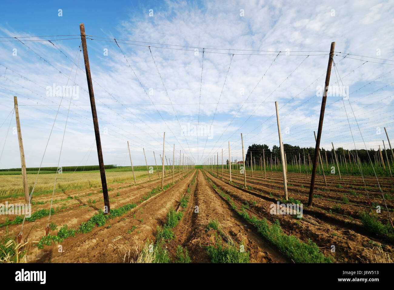 agricultural, garden, agriculture, farming, bavaria, germany, german ...