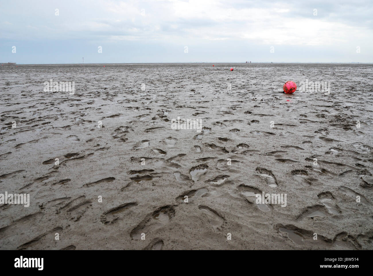 horizon, beach, seaside, the beach, seashore, coast, mud, calm, tides ...