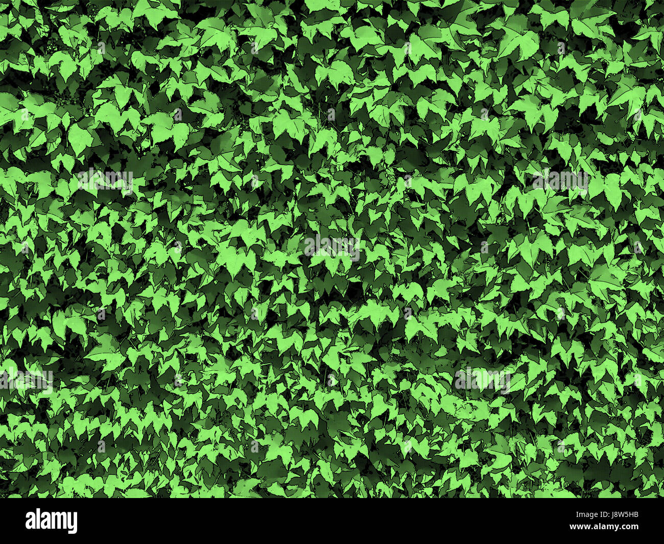 leaves, abstract, backdrop, background, foliage, nature, texture ...