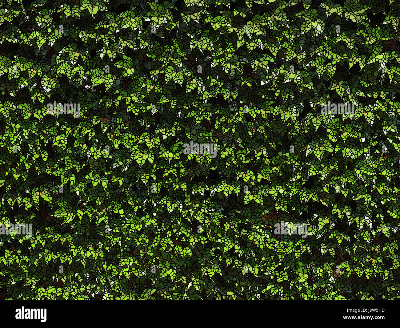leaves, abstract, backdrop, background, foliage, nature, texture ...