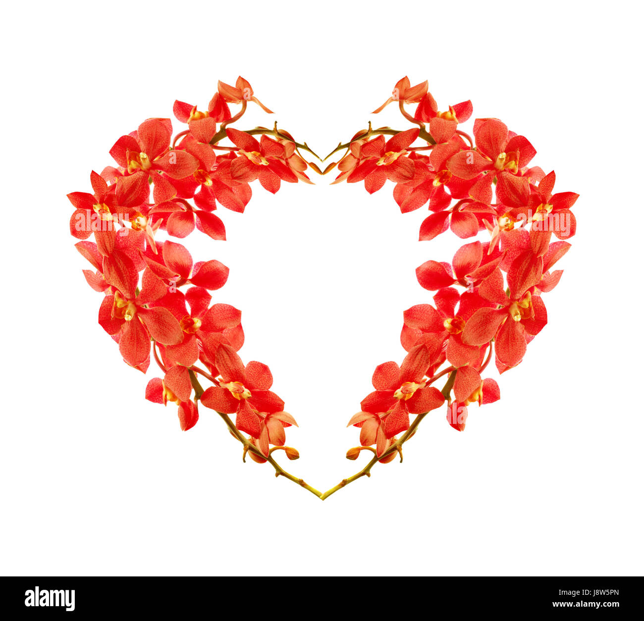 Plant shape hi-res stock photography and images - Alamy