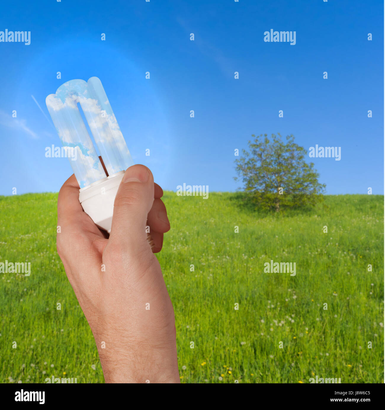 glass, chalice, tumbler, eco, environment, enviroment, consumption ...