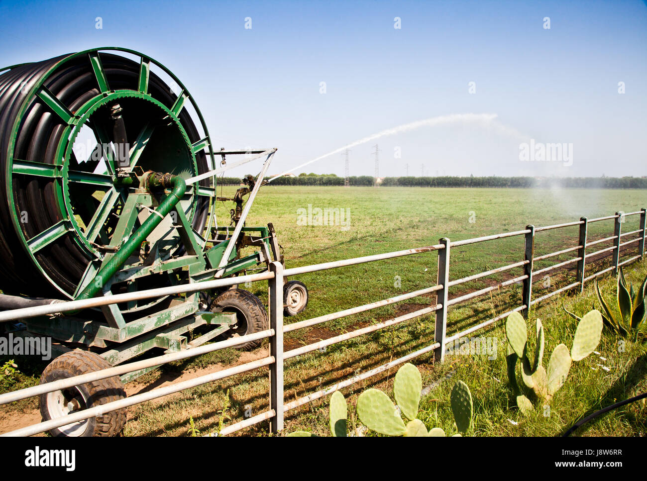 food, aliment, health, colour, wheel, ground, soil, earth, humus ...