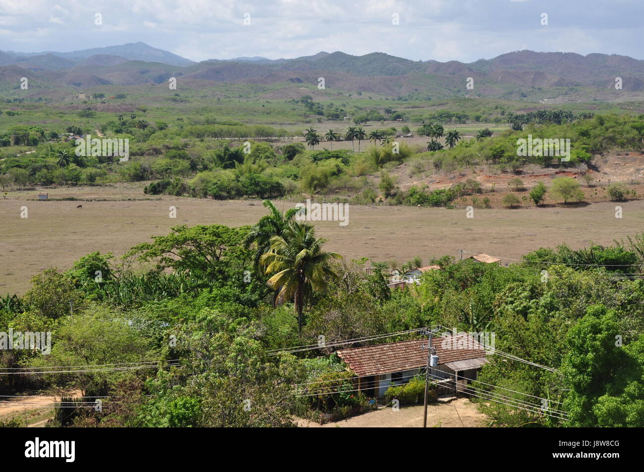 national park, conservation of nature, cuba, caribbean, rainforest ...