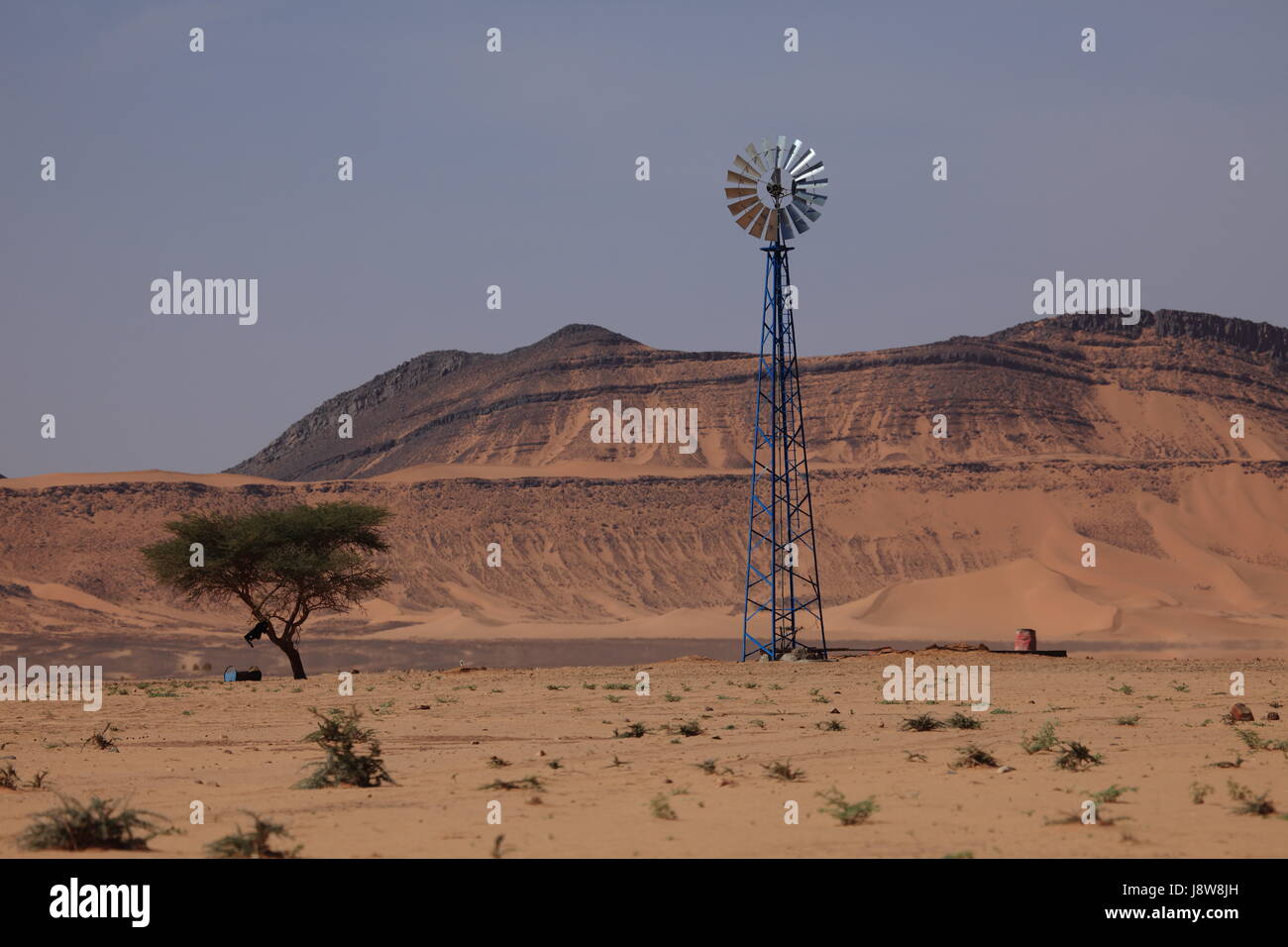 Pinwheel desert rose hi-res stock photography and images - Alamy