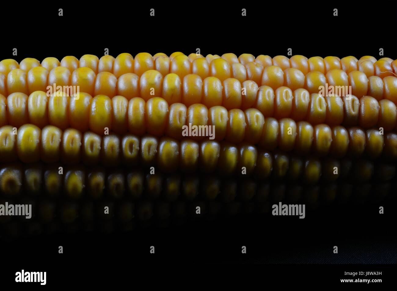 raw material, corn, corncob, genetic engineering, agroindustry, shine ...