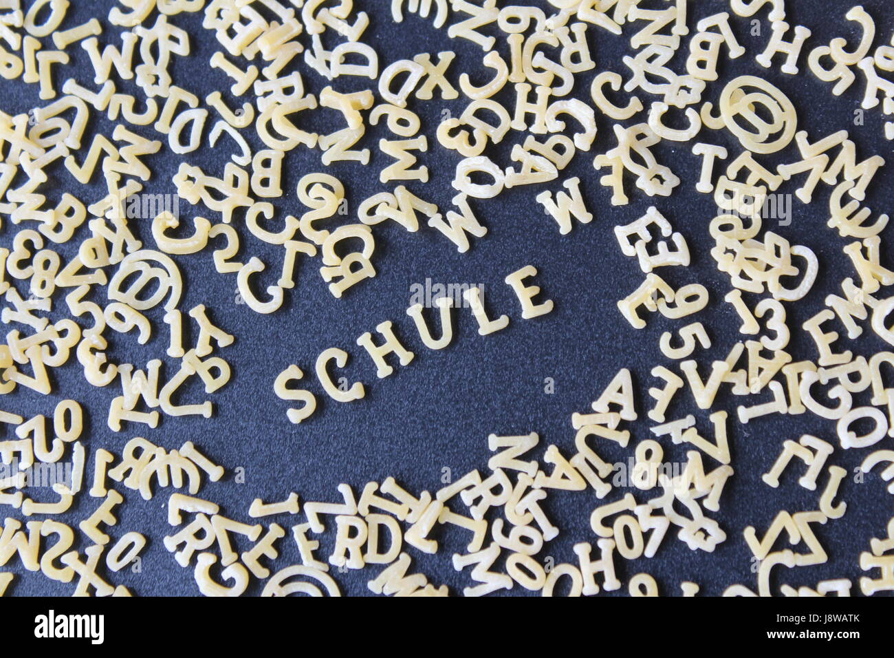 education, letters, word, pupil, learn, enrollment, school, educational ...