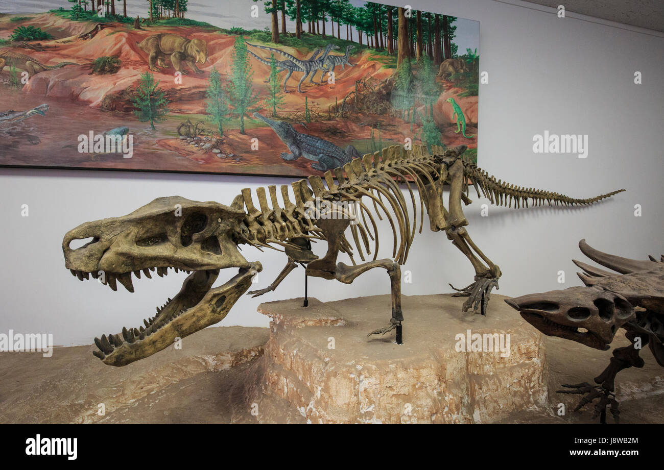 Triassic period hi-res stock photography and images - Alamy