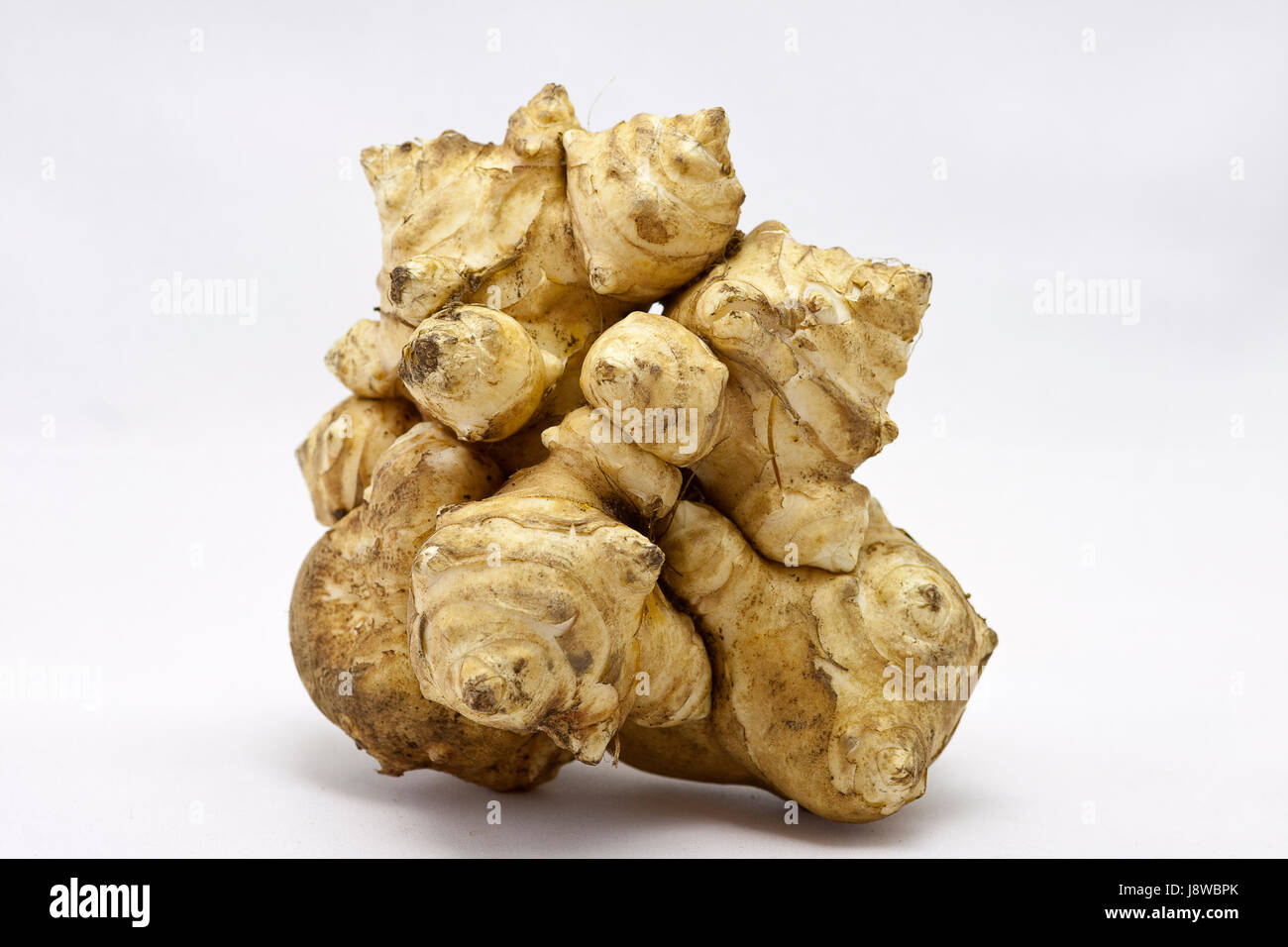 tuber, food, aliment, useful plant, flower, sunflower, plant, root ...