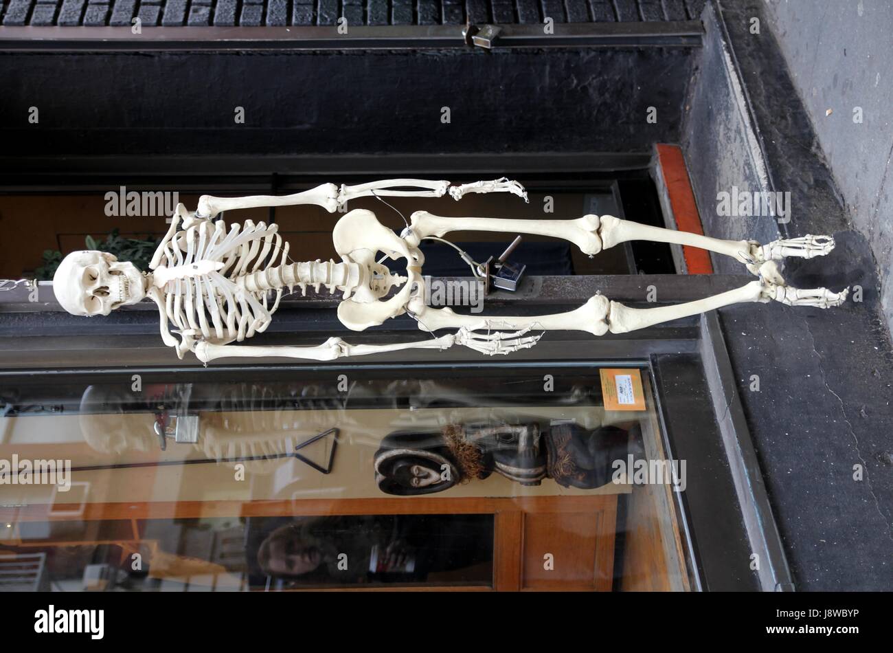 shopping, skeleton, offbeat, shop-door, shopping, skeleton, purchase ...