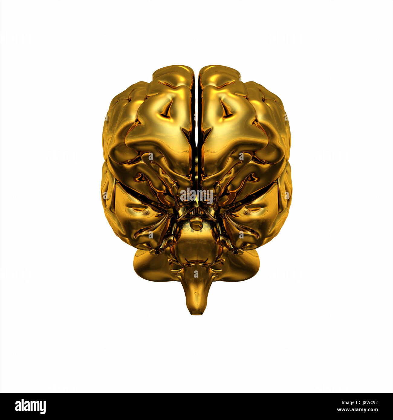 gold brain - frontal Stock Photo - Alamy