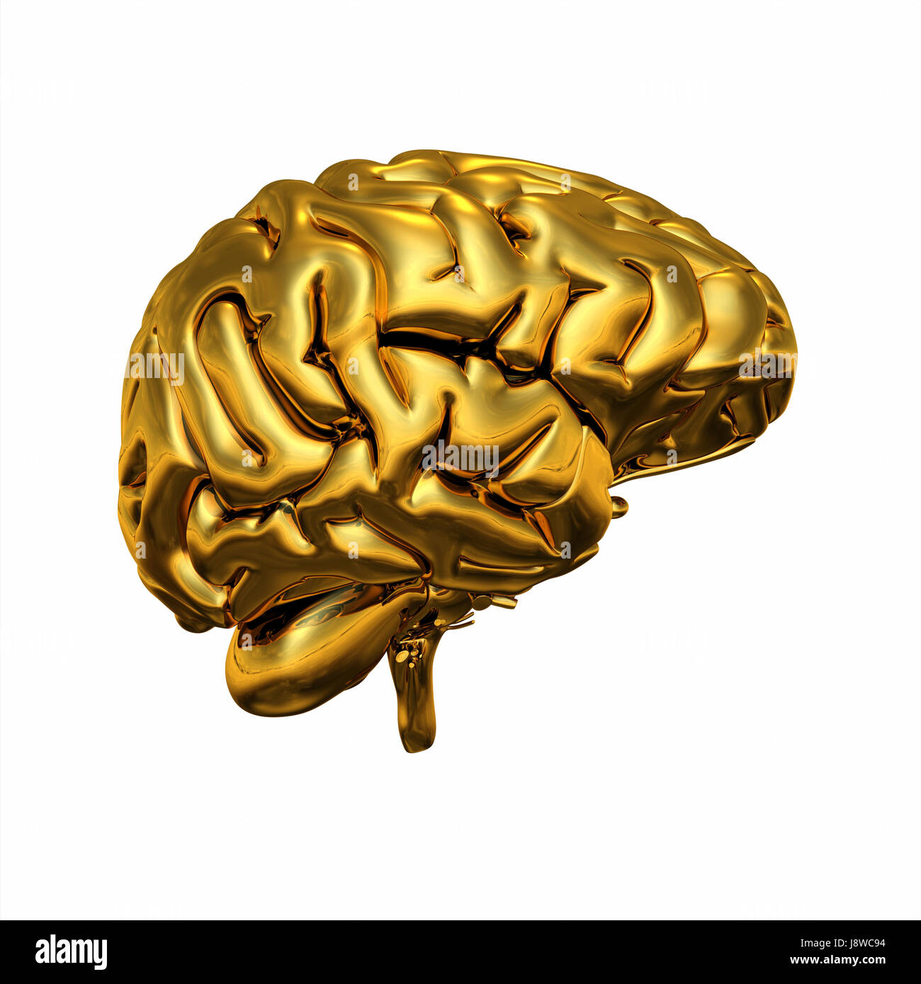optional, bright, shiny, anatomy, brain, organ, gold, yellow, detail ...