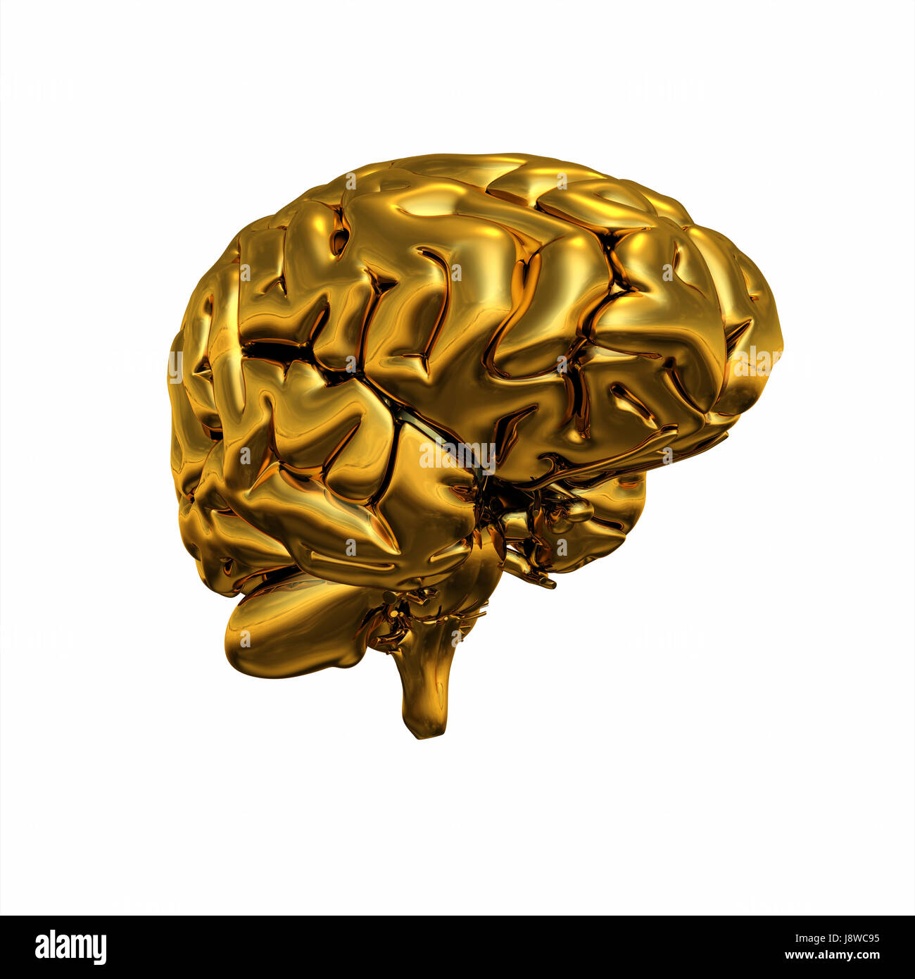 optional, bright, shiny, anatomy, brain, organ, gold, yellow, detail ...