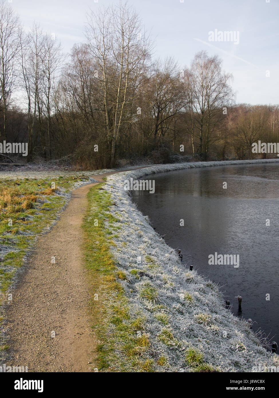 path, way, water, nature, park, ways, path, way, water, nature ...