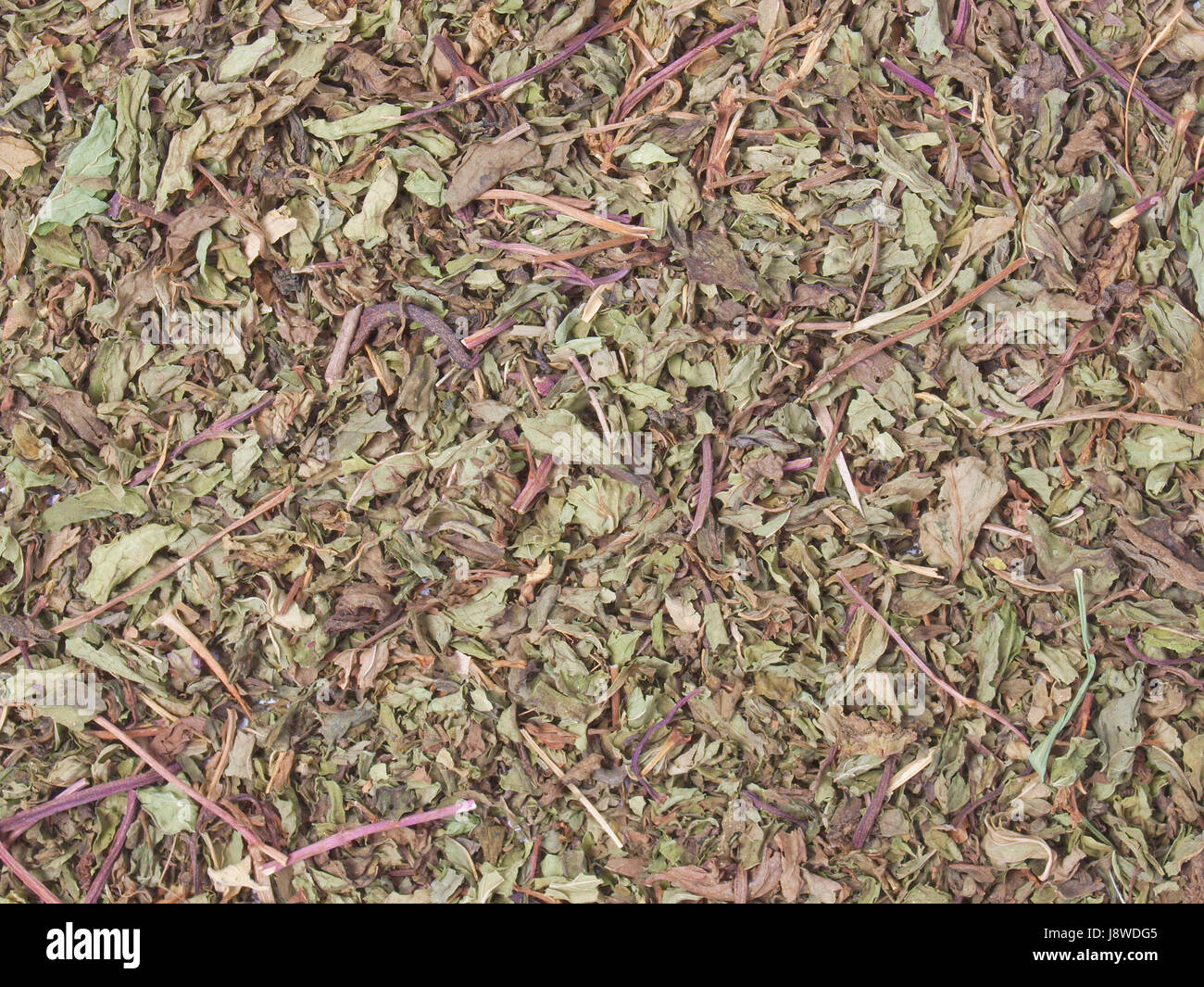pepper, tea, spice, leaves, dry, dried up, barren, dried, mint ...