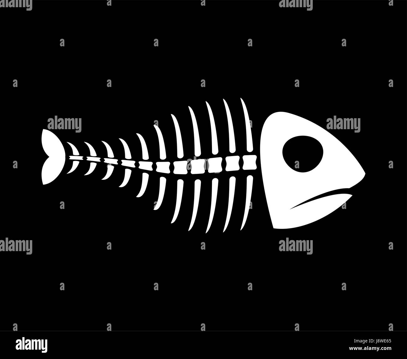 Fish bones isolated. fishy Skeleton on white background Stock Vector ...