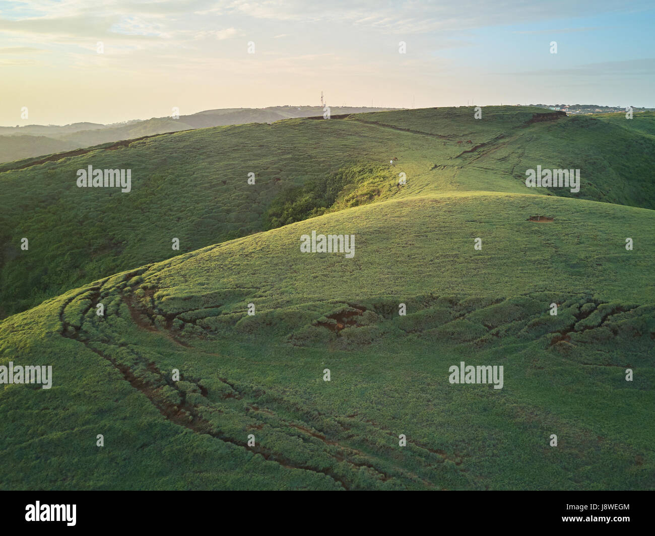 Aerial view of horses hi-res stock photography and images - Alamy