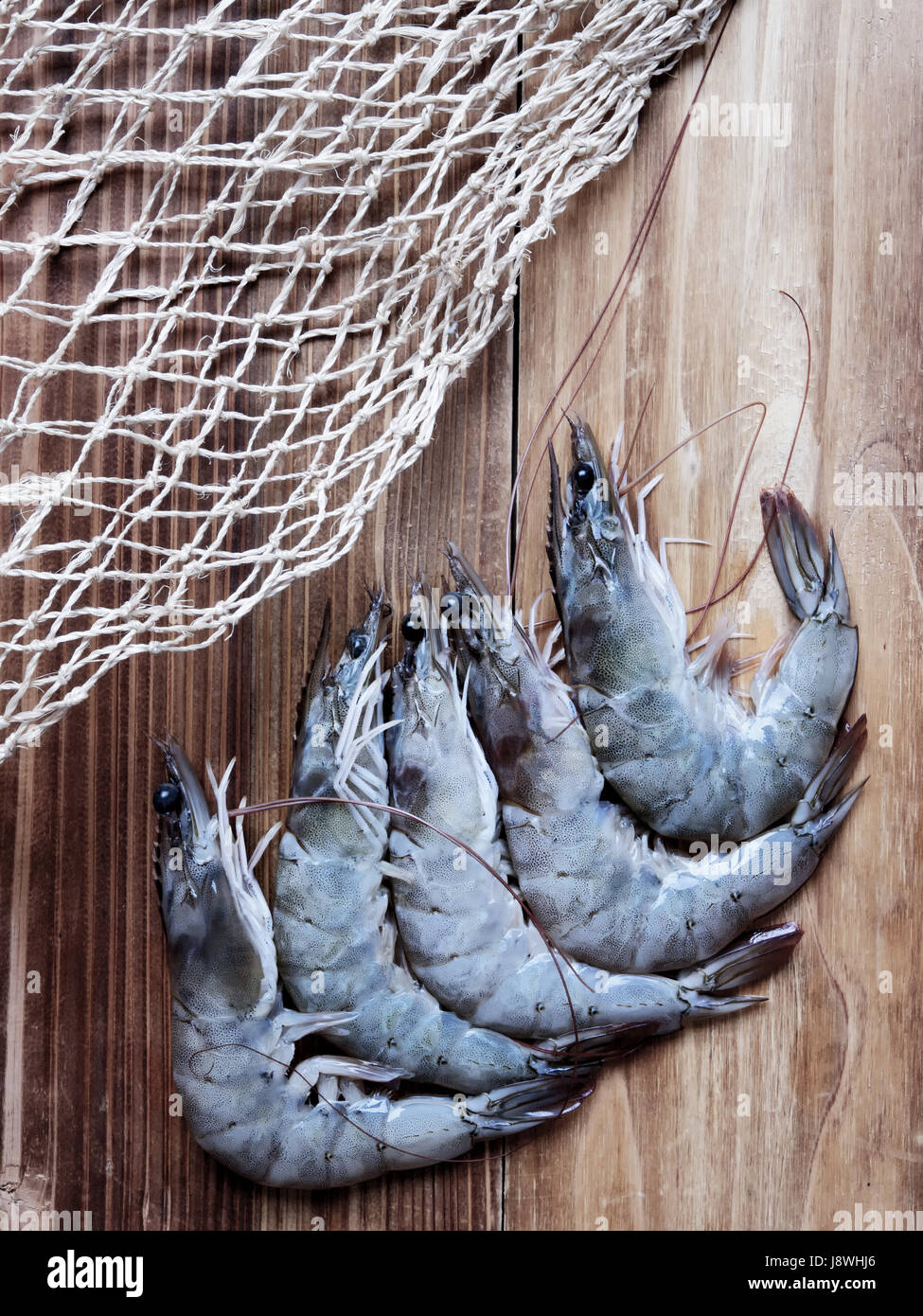 raw, shellfish, seafood, shrimps, grey, gray, fresh, food, aliment ...