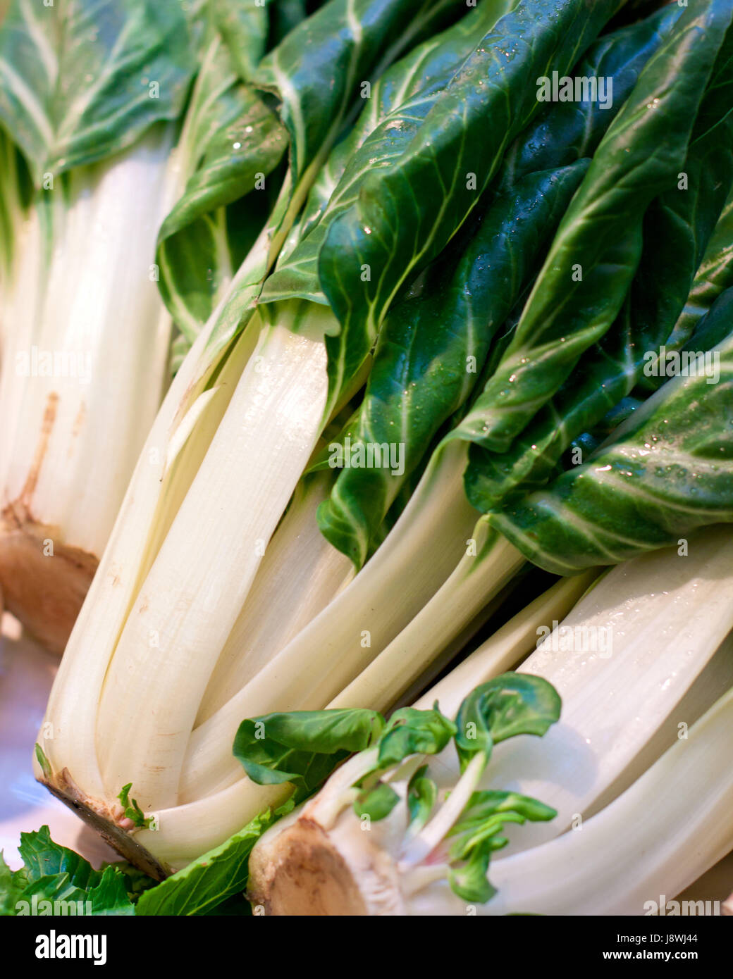 Rbenart hi-res stock photography and images - Alamy