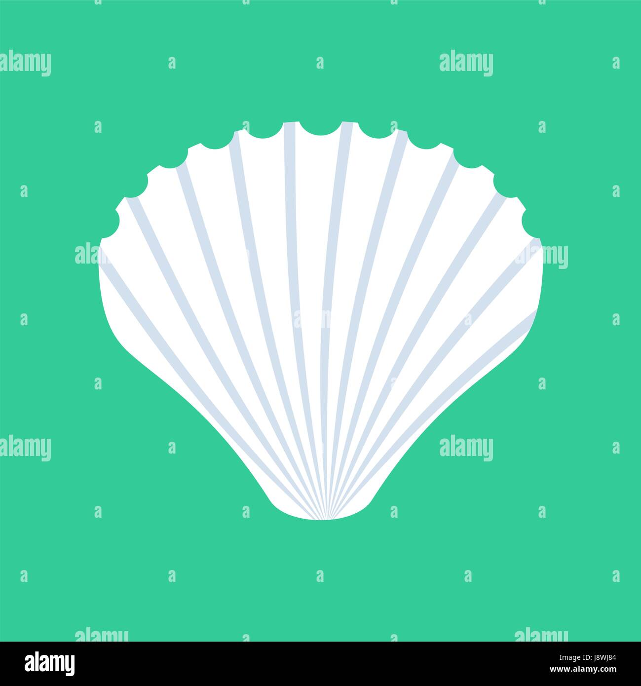 Shell isolated. White mussels on green background. Seashell nacre Stock ...