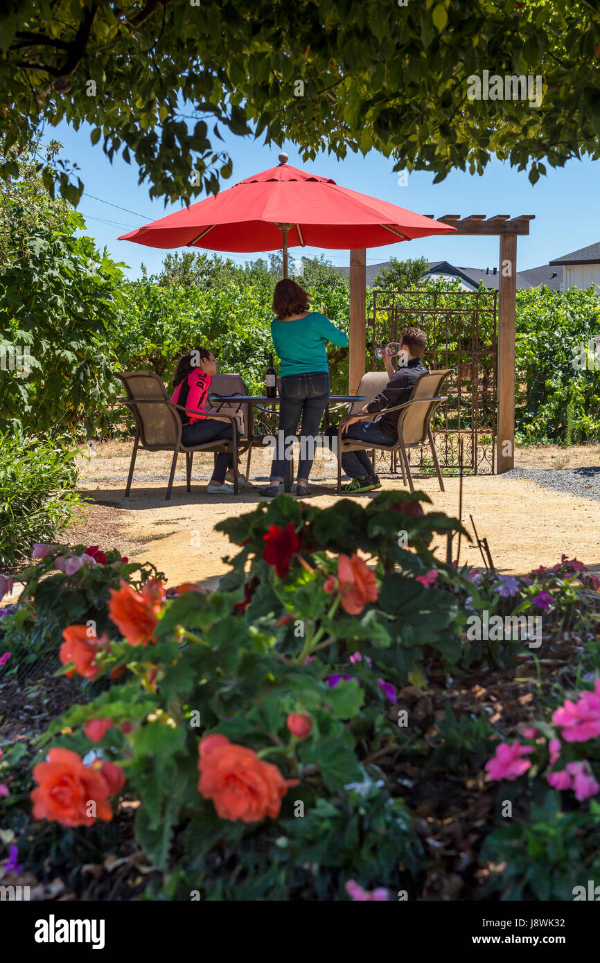 tourists, couple, outdoor wine tasting, Martin Ray Vineyards and Winery ...