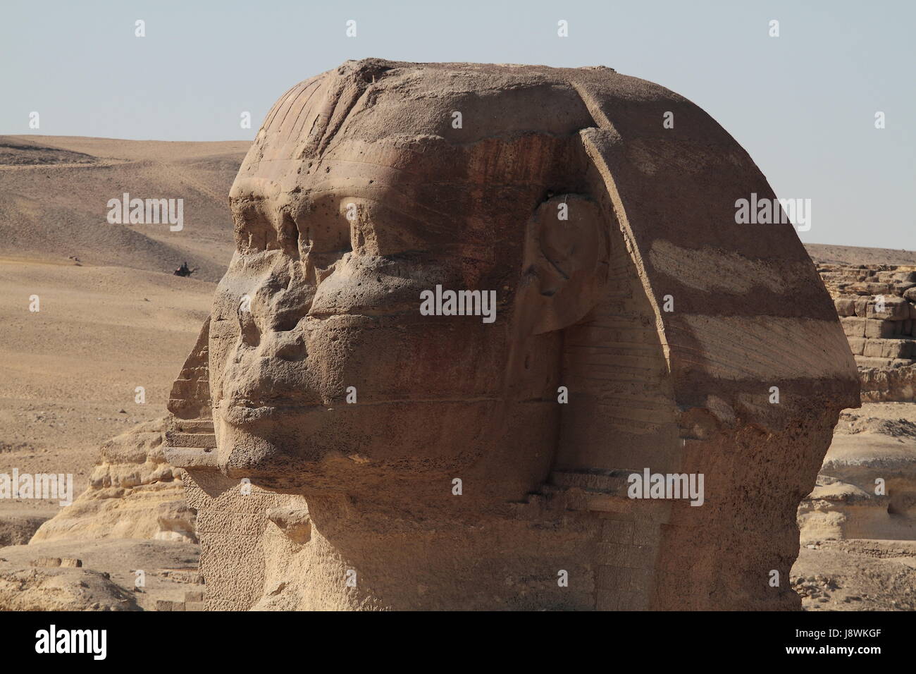 Sphinx head hi-res stock photography and images - Alamy